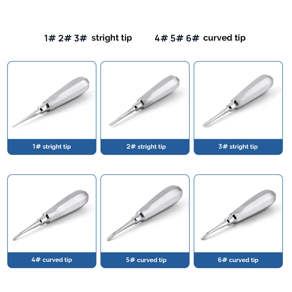 Dental Surgical Instrument Teeth Elevators Straight/Curved 6 Sizes – AZDENT