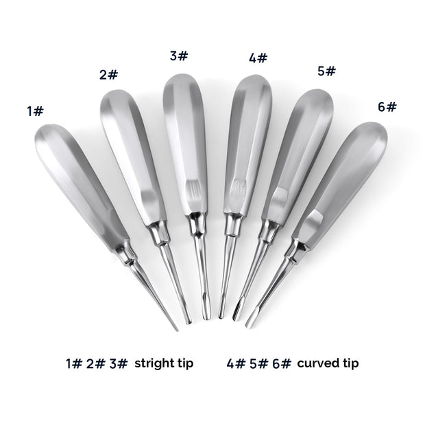 Dental Surgical Instrument Teeth Elevators Straight/Curved 6 Sizes – AZDENT