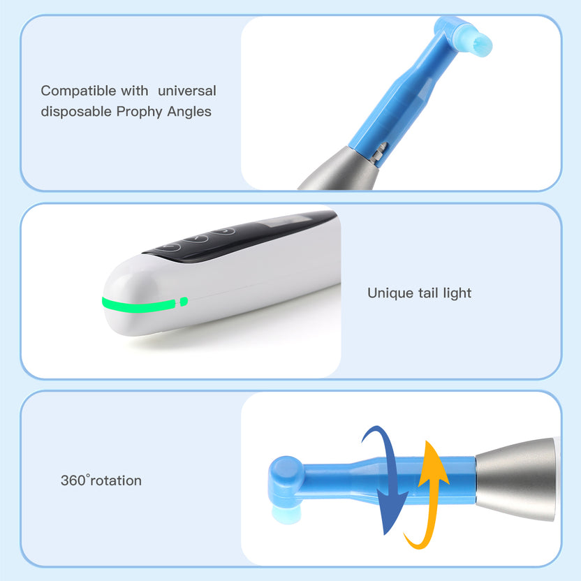 Dental Cordless Brushless Hygiene Prophy Handpiece 10 Speed Settings P
