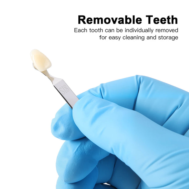 Dental Bleaching Shade Guide Tooth Whitening Shade Chart 20/25 Shade ...