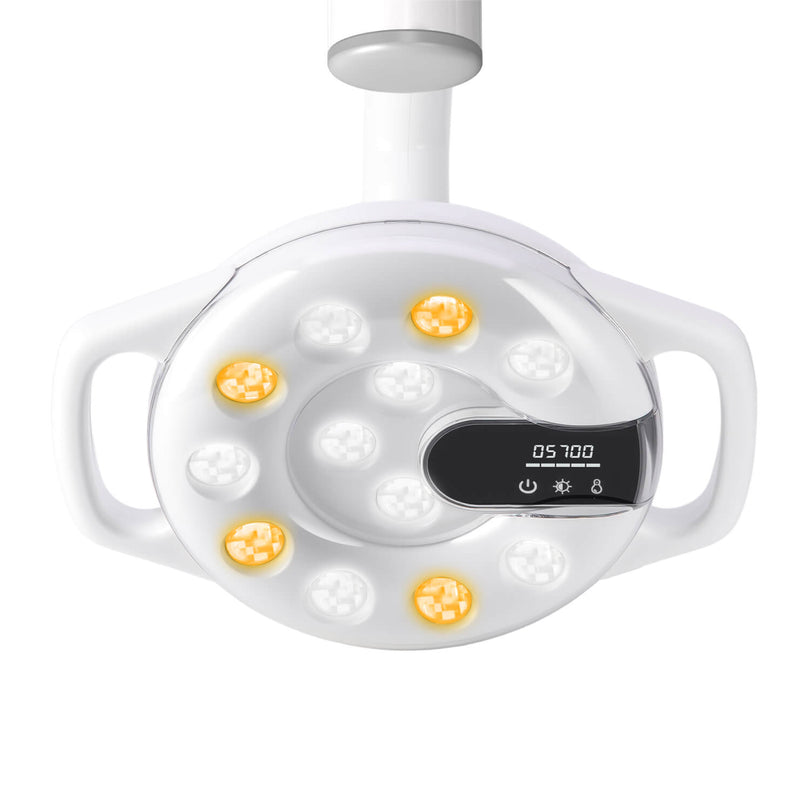 Dental Unit Chair LED Oral Light Lamp 12 Lights 20W Dual-Color Adjusta ...