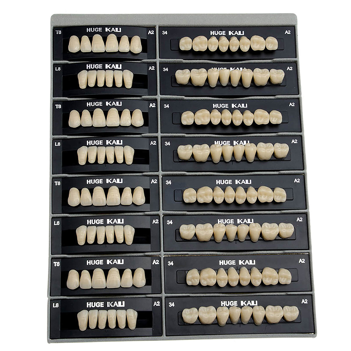 Dental Synthetic Polymer Teeth Resin Denture A1/A2/A3 28 Teeth/Set – AZDENT